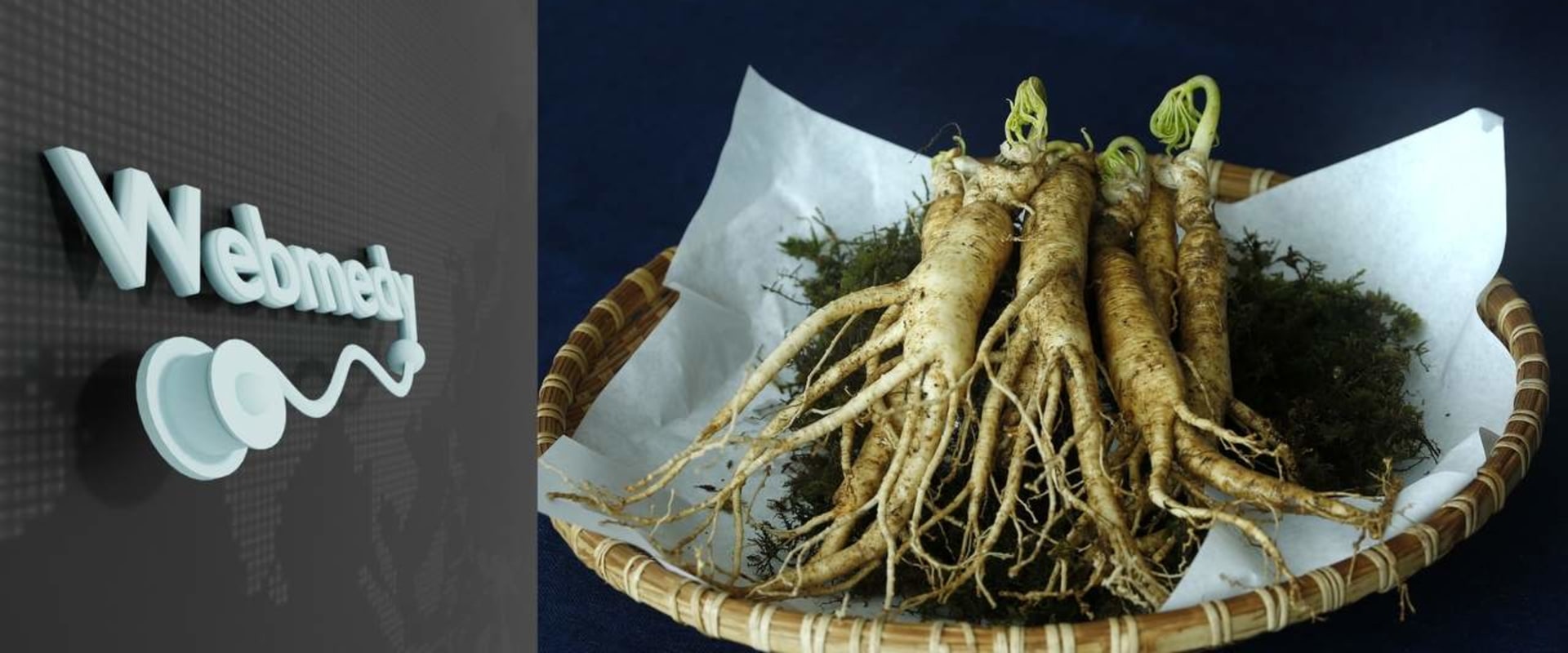 The Power of Ginseng: Exploring the Health Benefits of American and ...